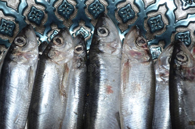 Sprats fish on a plate stock image. Image of diet, appetizer - 107553837