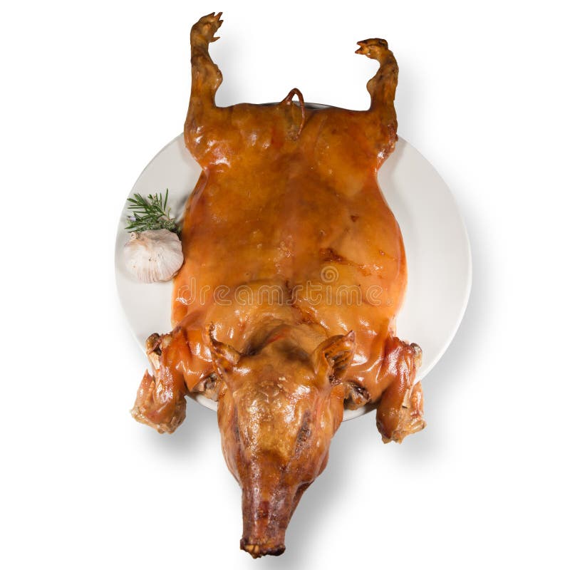 Plate of Spanish Roast Suckling Pig Stock Image - Image of piglet, meat ...