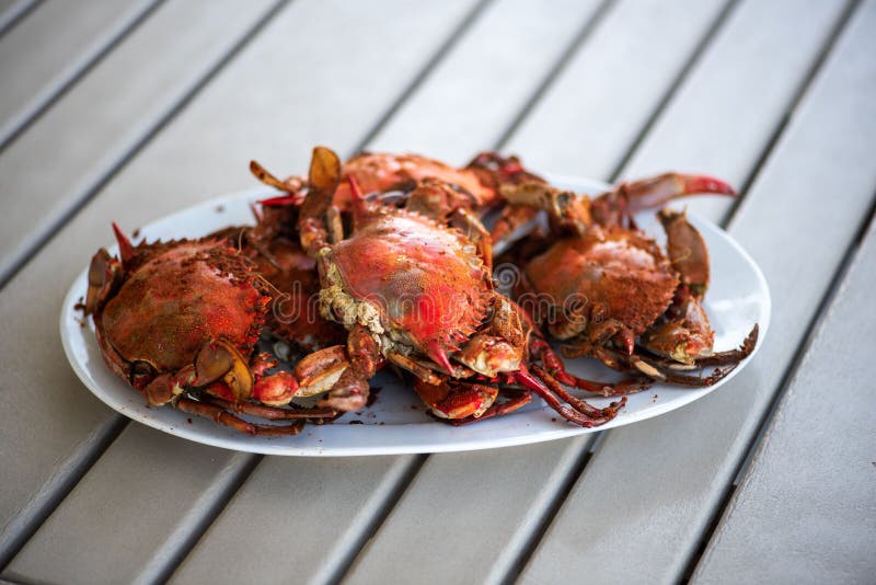 Plate of Steamed Crabs Served on a Plate Stock Photo - Image of dinner ...