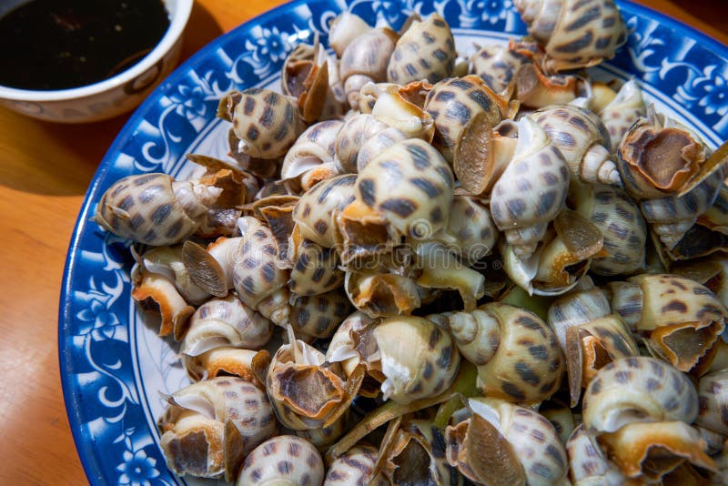 A Plate of Sweet and Delicious Boiled Snails Stock Photo - Image of ...