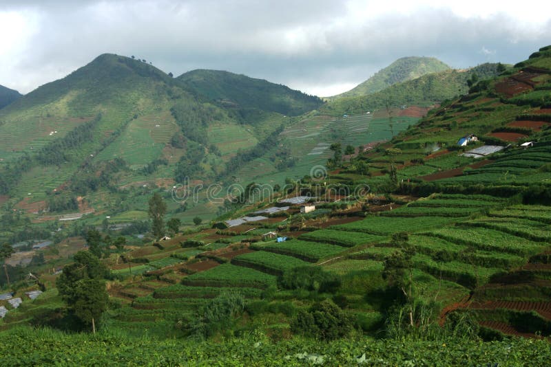 Plateau de Dieng image stock. Image du java, regroupement - 37513135