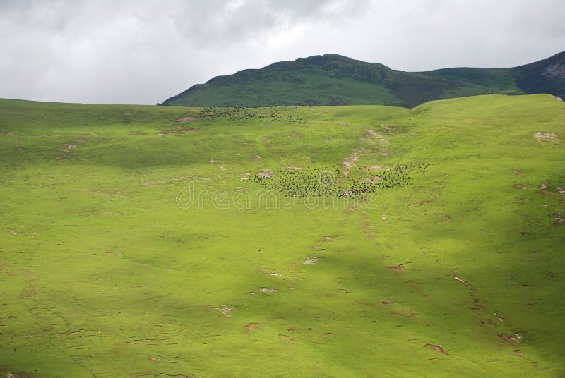 Plateau pasture stock image. Image of landscape, blue - 10718627