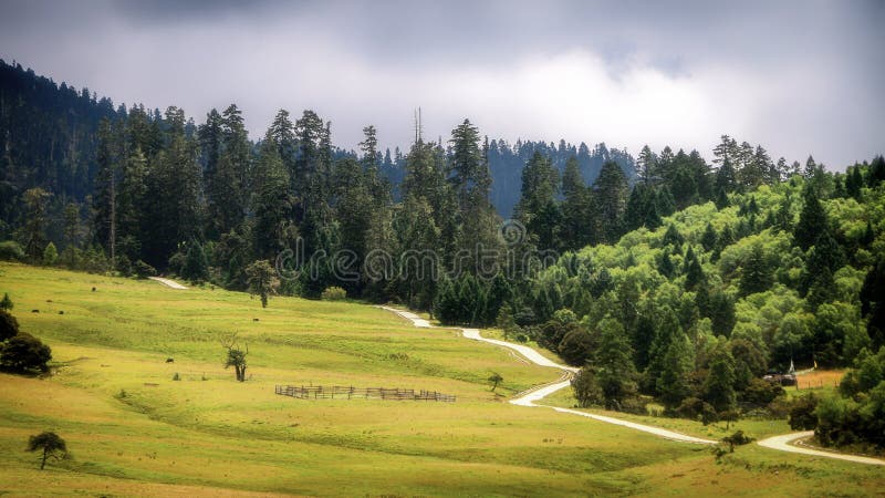 Plateau pasture stock image. Image of wilderness, landscape - 228767121