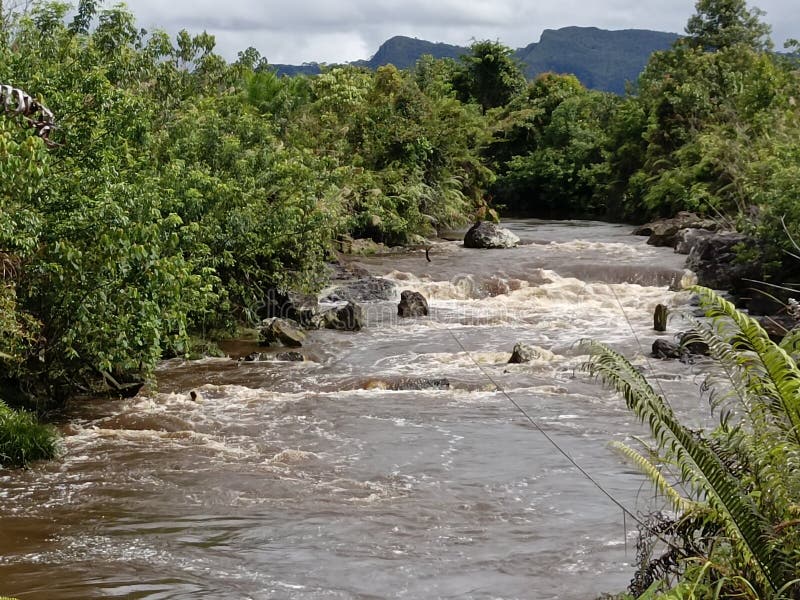 Plateau Remote Area with Peat Soil and Beautiful River. Stock Photo ...