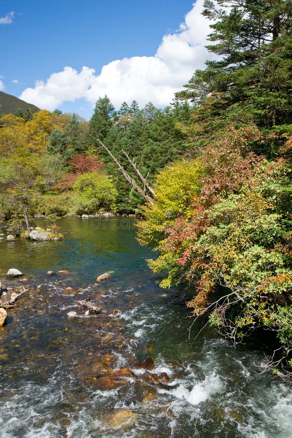 Plateau river in autumn stock photo. Image of scenery - 21692896
