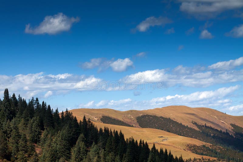 Plateau scenery stock image. Image of forest, natural - 44426963