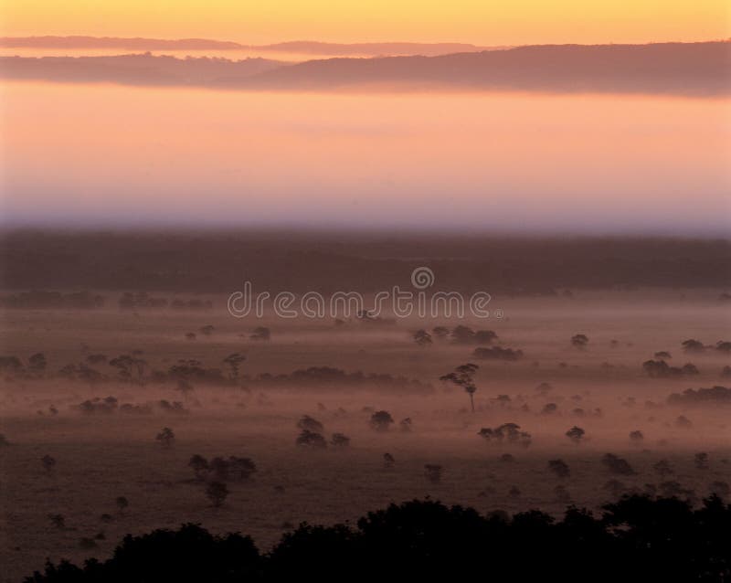 Plateau stock image. Image of nature, neck, shoot, color - 81533203