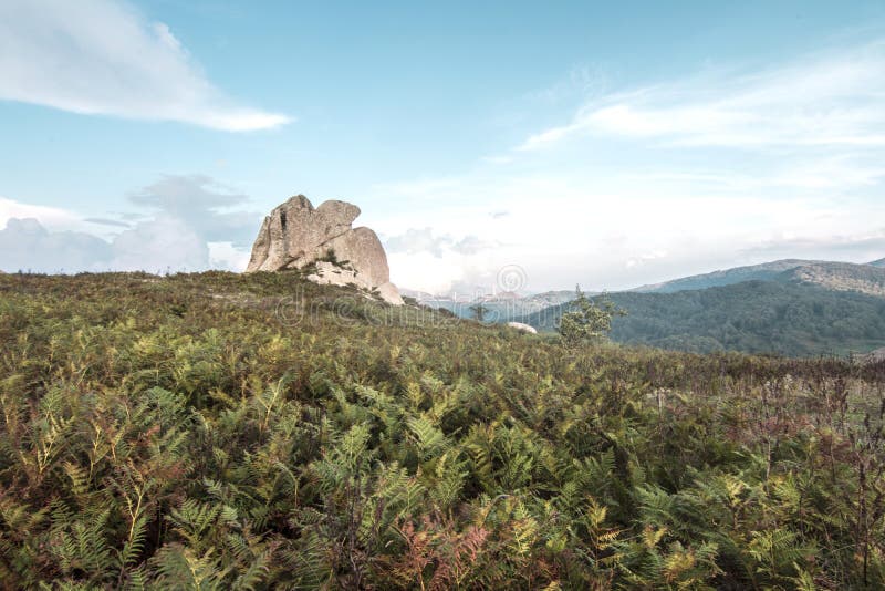 Plateau at Sunset Summer Atmosphere Stock Photo - Image of landscapes ...