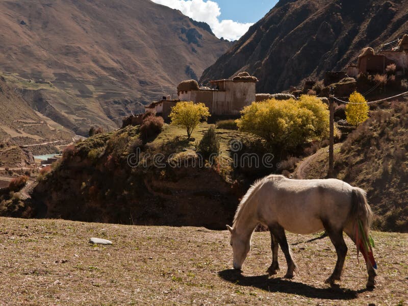 Plateau valley stock photo. Image of valley, houses, asia - 21953988