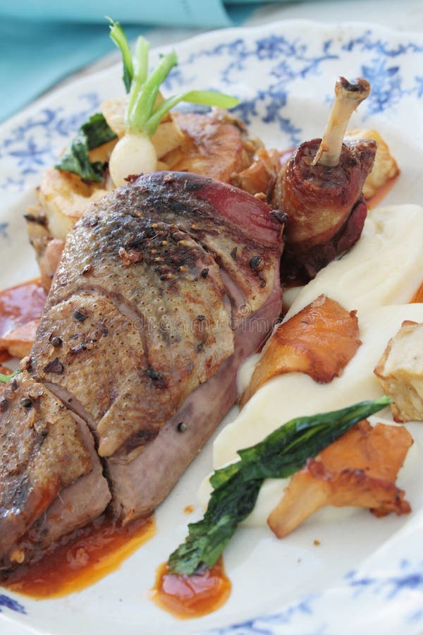 Plated duck main meal stock photo. Image of vegetables - 61848224