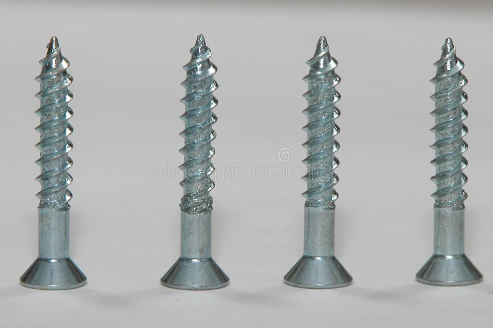 Plated Steel Wood Scews stock image. Image of tapered, steel - 29685