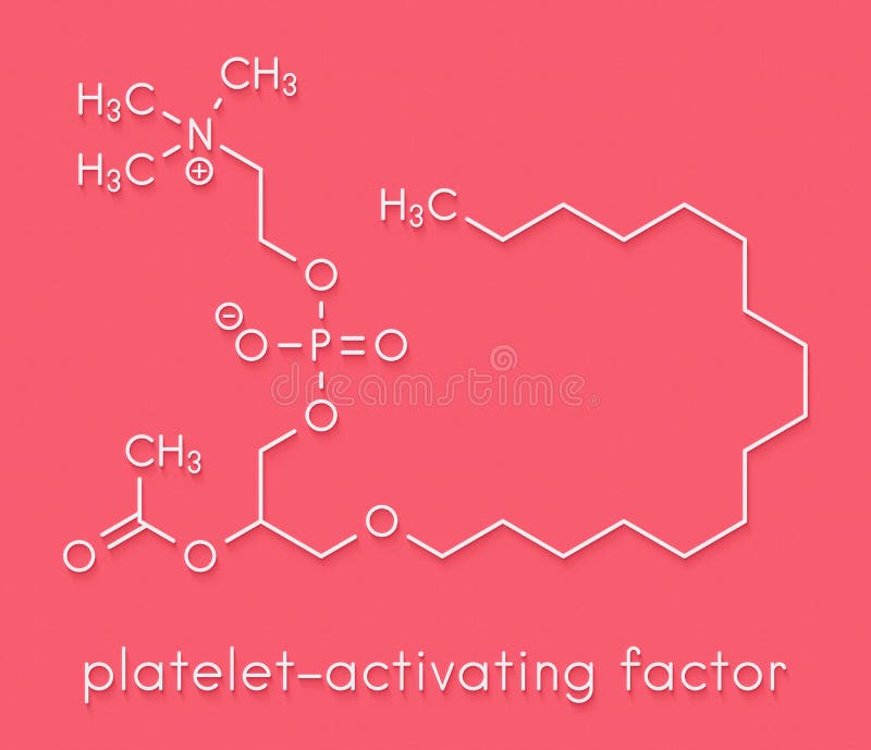 Platelet-activating Factor Molecule. Plays Role in Thrombosis ...