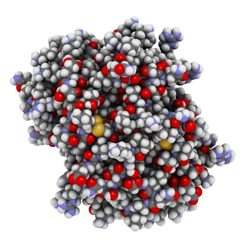 Platelet Factor 4 (PF-4) Chemokine Protein Stock Illustration ...