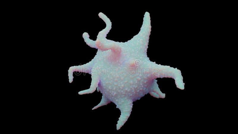 Platelet and Thrombocyte Anatomy Concept and Activated Platelets Stock ...