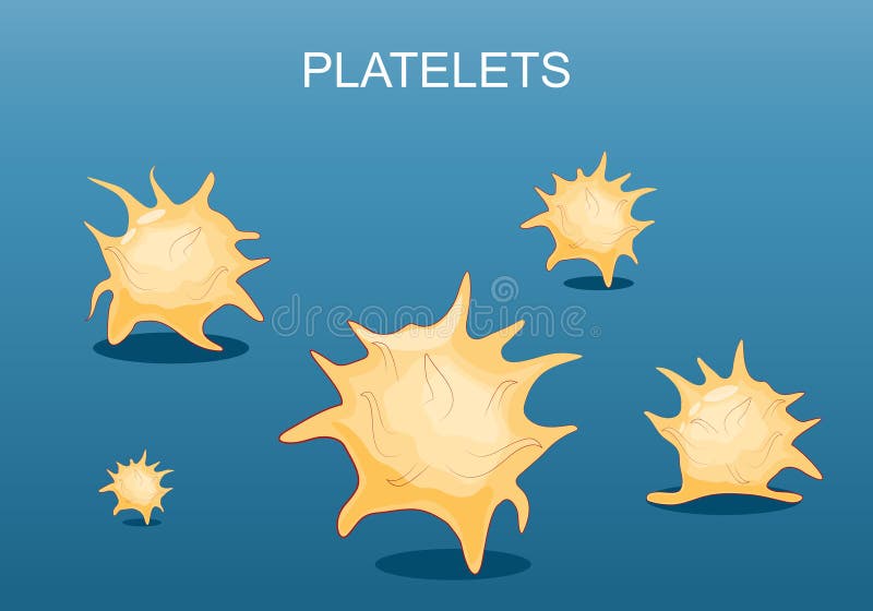 Platelets. Close-up of Thrombocytes Stock Vector - Illustration of ...