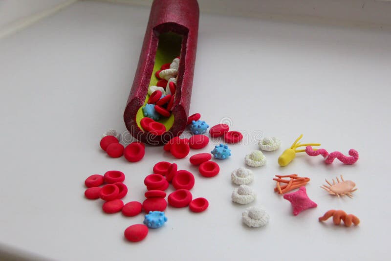 Platelets Made from Polymer Plasticine, Covid-19 Stock Image - Image of ...