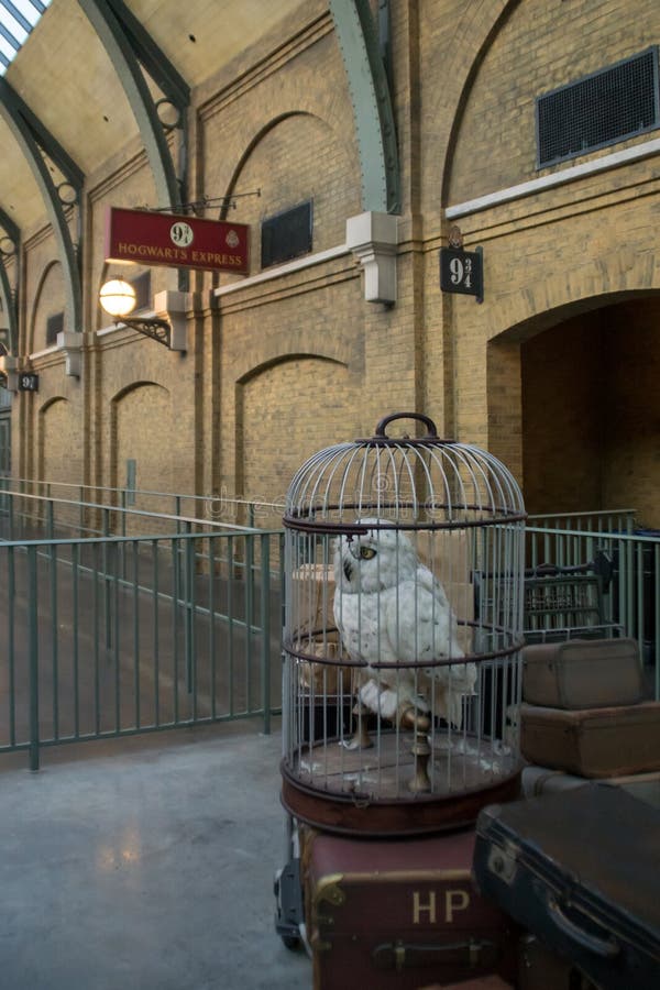 Harry Potter Hedwig Cage