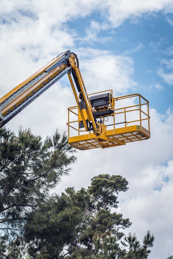 Platform Lift for Pine Pruning in the Park Stock Photo - Image of ...