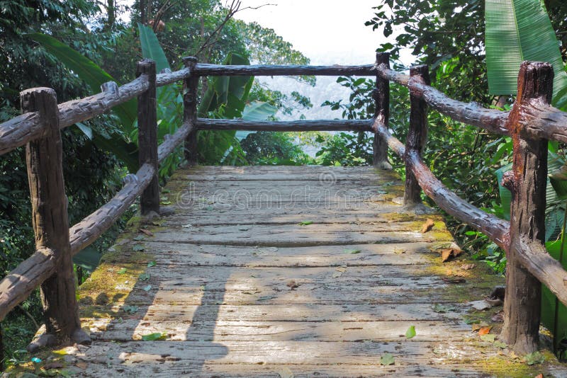 Natural Platform Around Tree Stock Photos - Free & Royalty-Free Stock ...