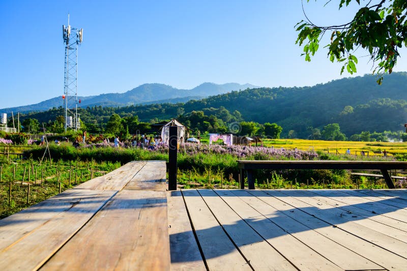 The Platform for Viewing in Flower Garden Stock Image - Image of floor ...
