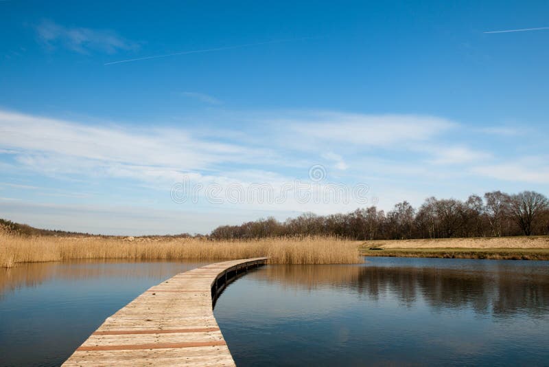 Platforms in the water stock image. Image of path, reed - 24030955