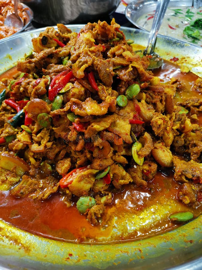 Plato Tailandés Picante De Cerdo Al Curry Foto de archivo - Imagen de ...