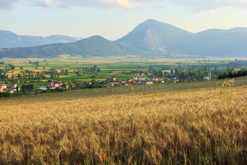Platteland in Turkije stock afbeelding. Image of zuiden - 53012835