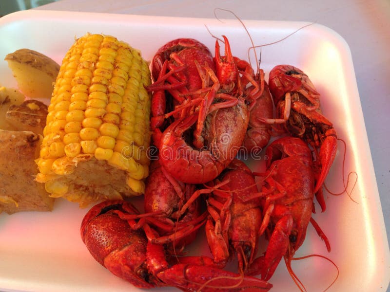 Platter of Boiled Crawfish with Boiled Corn Stock Photo - Image of ...