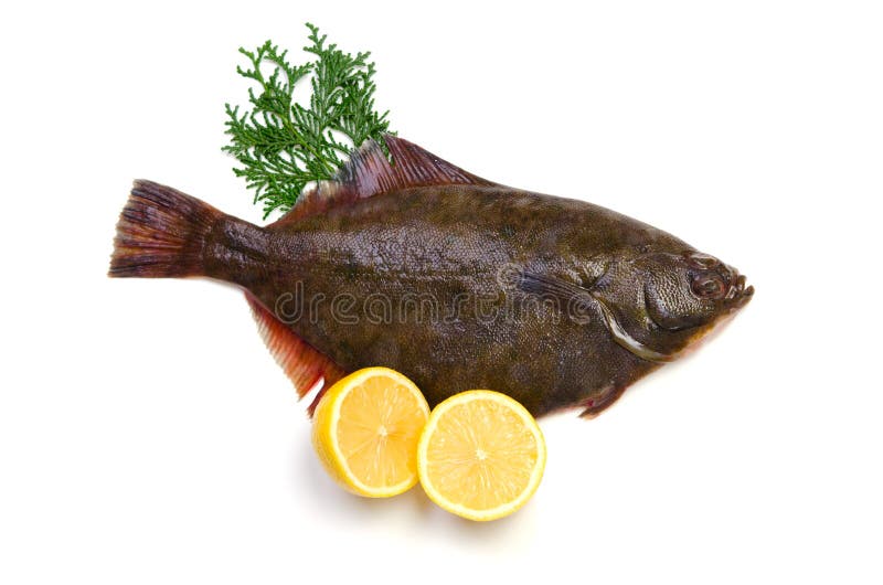 Ruwe Vissenbot, Platvissen Op Hout Stock Afbeelding - Image of ...