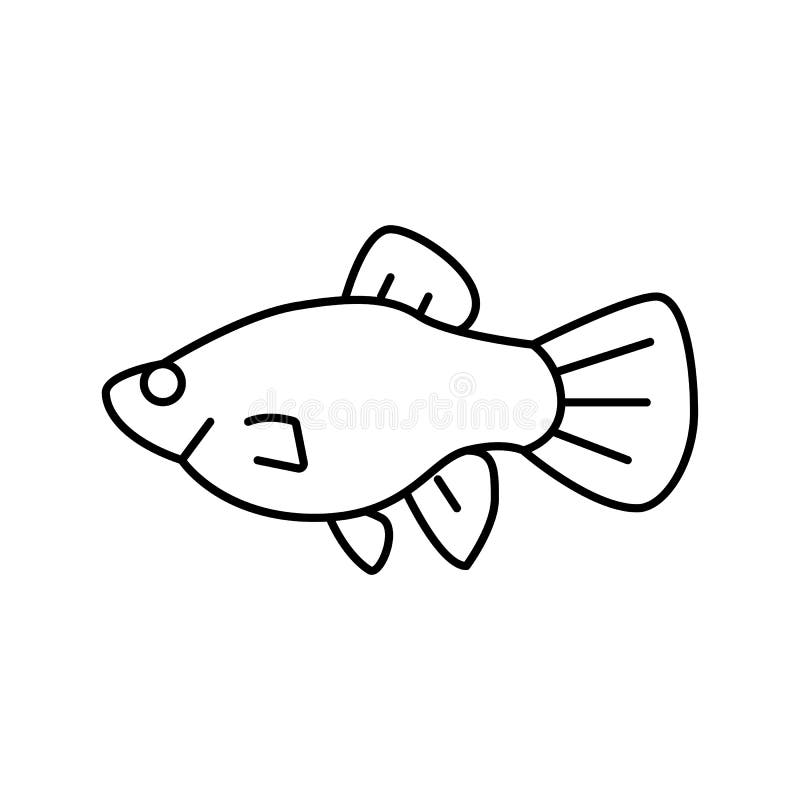 Platy Fish Line Icon Vector Illustration Stock Vector - Illustration of ... Platy Fish Line Icon Vector Illustration Stock Vector - Illustration of ...