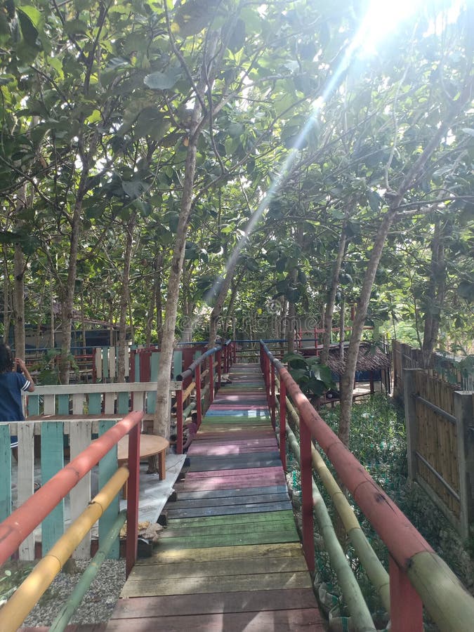 Play garden with sunshine stock image. Image of tree - 263092349