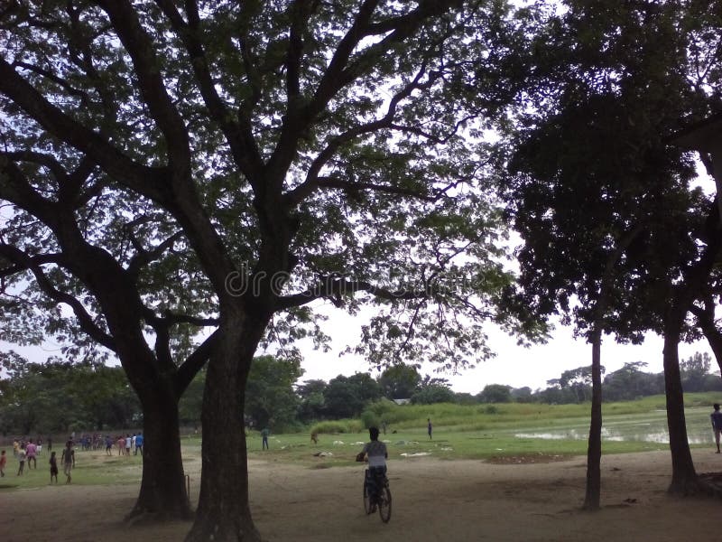 Play ground stock photo. Image of village, tree, children - 115829530