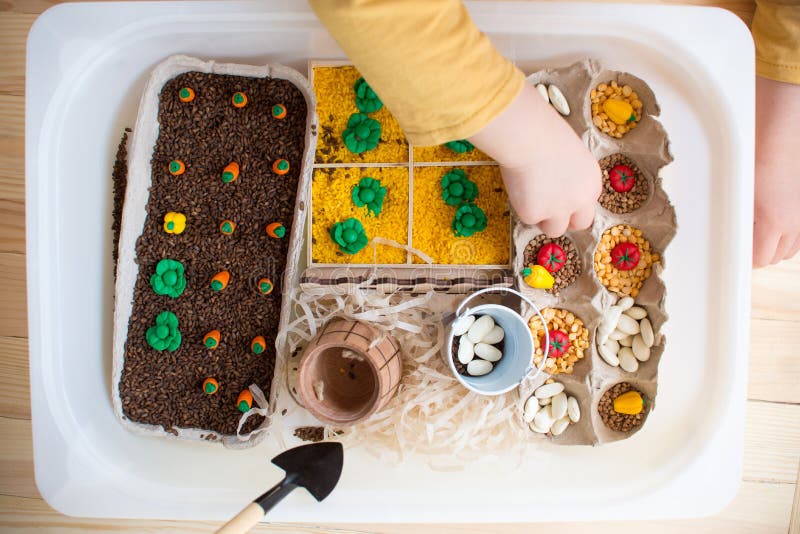 Play Sensor Box for Child Development. Play Box Vegetable Garden Stock ...