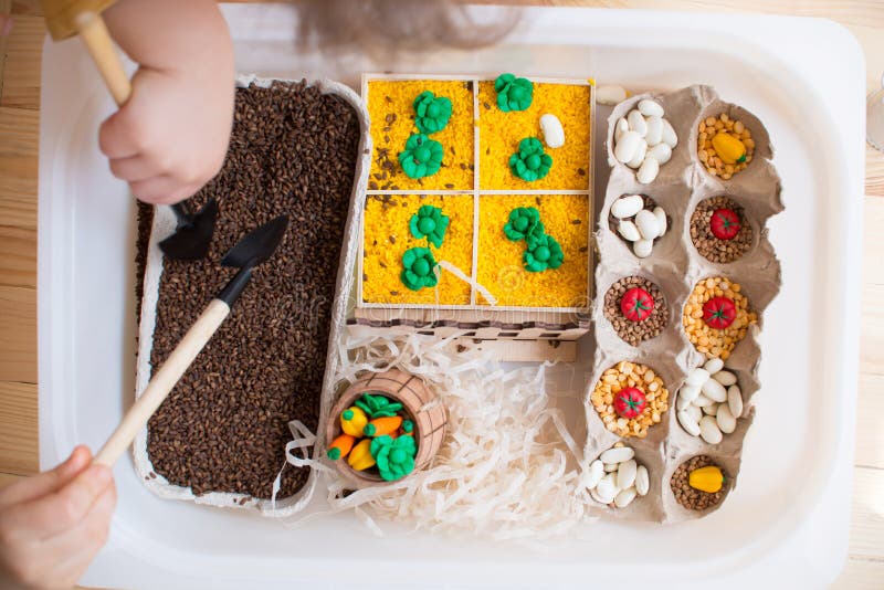 Play Sensor Box for Child Development. Play Box Vegetable Garden Stock ...