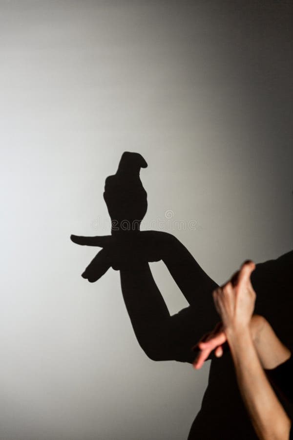Shadow Puppet Bird Stock Photos - Free & Royalty-Free Stock Photos from ...
