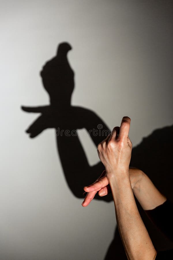 Play Shadow Projected Against A White Background. A Bird Stock Photo ...