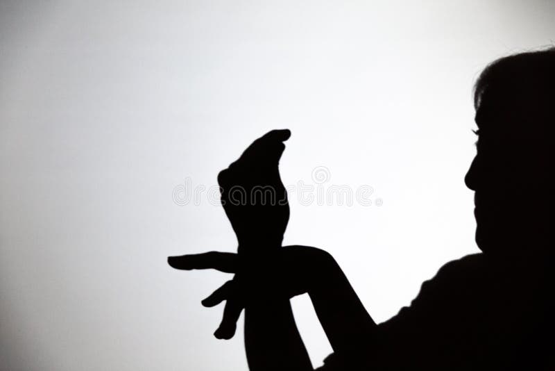 Play Shadow Projected Against a White Background. a Bird Stock Photo ...