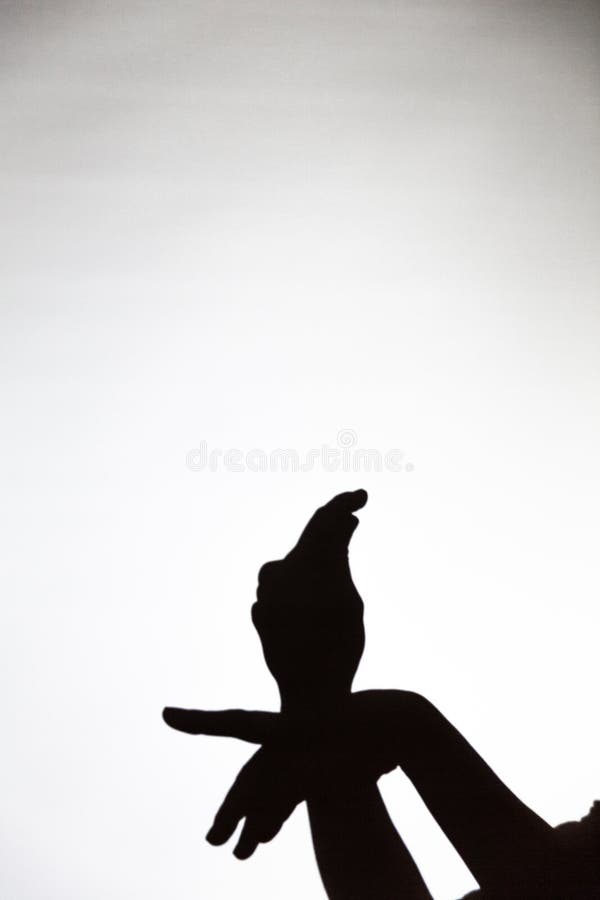 Play Shadow Projected Against a White Background. Pigeon Stock Photo ...