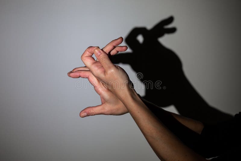 Play Shadow Projected Against a White Background, Rudolph Reindeer ...