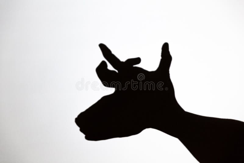 Reindeer Hand Puppet Stock Photos - Free & Royalty-Free Stock Photos ...