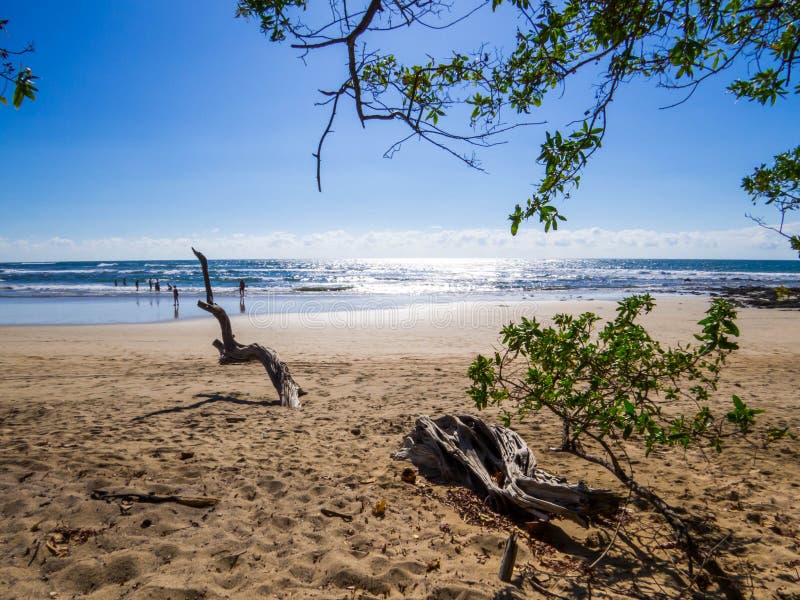 Playa Avellanas, Guanacaste, Costa Rica Stock Photo - Image of island ...