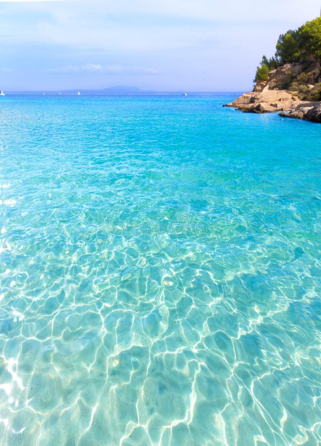 Playa Calvia Mallorca De Mallorca Cala Vinyes Vinas Imagen de archivo ...
