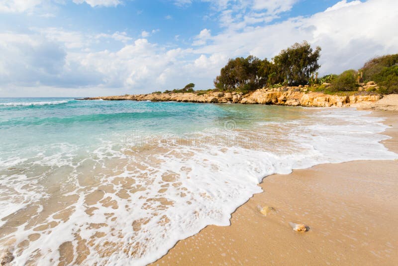 Playa Chipre De Ayia Napa Nissi Foto de archivo - Imagen de asoleado ...