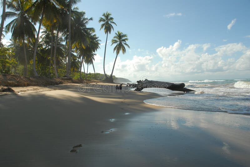 Coson Beach, Dominican Republic Stock Photo - Image of beautiful ...
