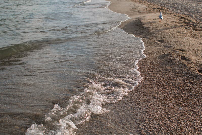 Playa De Arena Con Agua De Mar Clara Foto de archivo - Imagen de ...