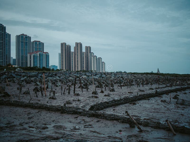 Playa De Barro Con Edificios Modernos Junto Al Mar Bajo Un Cielo Turbio ...