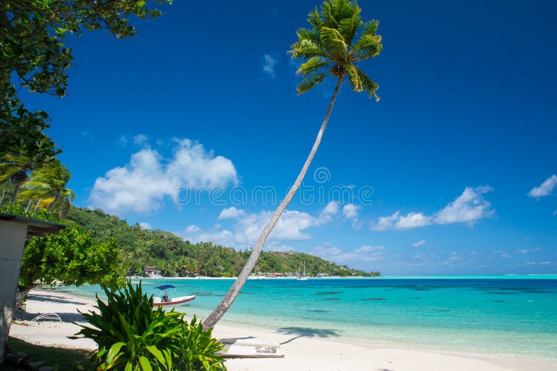 Playa de bora bora matira foto de archivo. Imagen de horizonte - 241792378