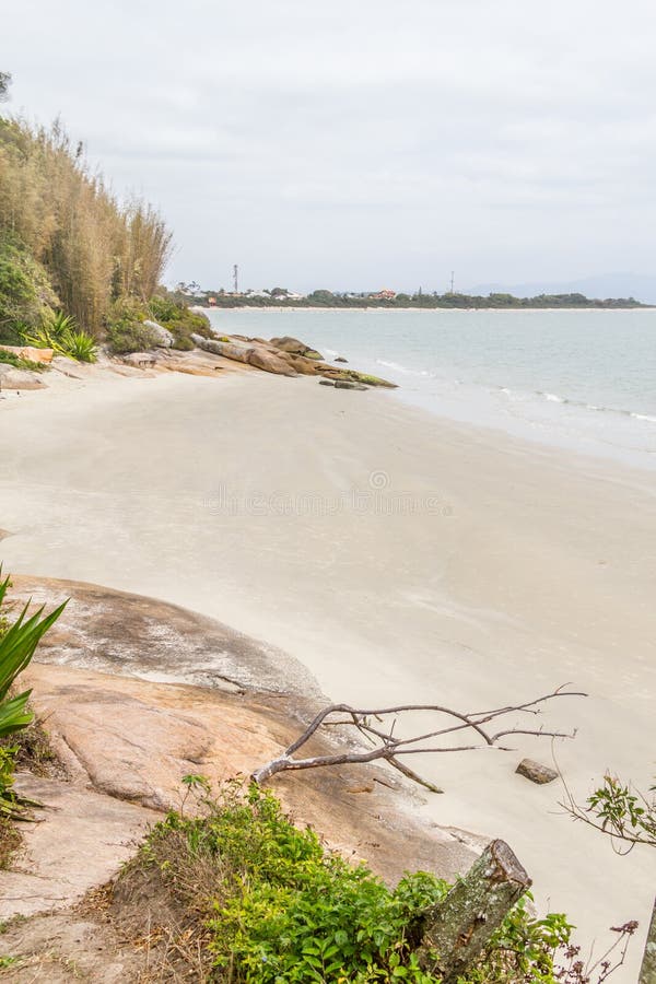 Playa de Daniela imagen de archivo. Imagen de santa - 103796497