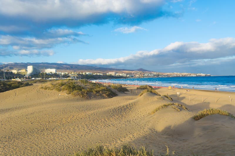 Playa de dunas costeras foto de archivo. Imagen de bronceado - 247651888