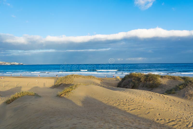 Playa de dunas costeras foto de archivo. Imagen de verano - 247651924
